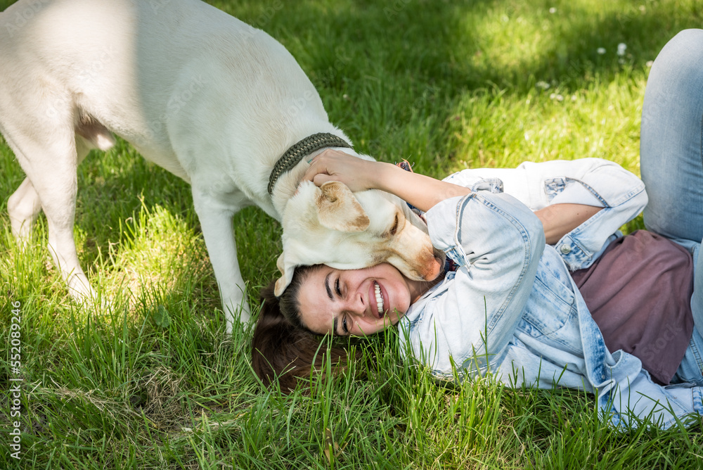 Young woman adopt young dog Labrador Retriever from animal rescue ...