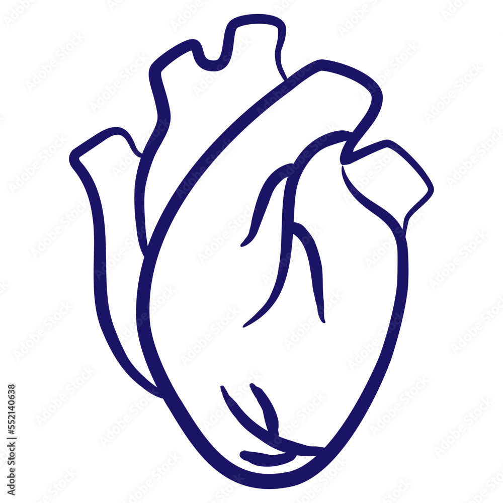 Human heart minimal vector icon drawn with brush line. Blue linear ...