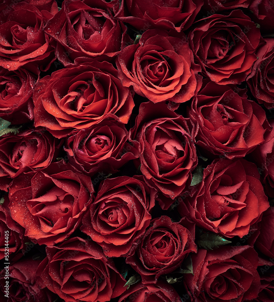 Vintage dark art background of red roses flowers Stock Photo | Adobe Stock