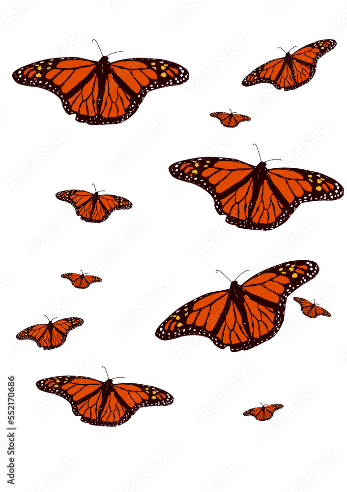 Conjunto de Mariposas monarcas de diferentes tamaños volando con fondo ...