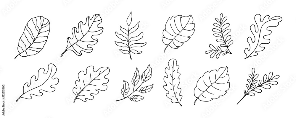 Leaves vector sketch set. Hand drawn decorative elements, isolated on ...