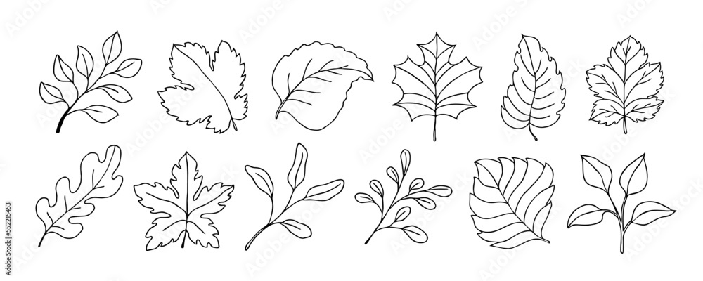 Leaves vector sketch set. Hand drawn decorative elements, isolated on ...