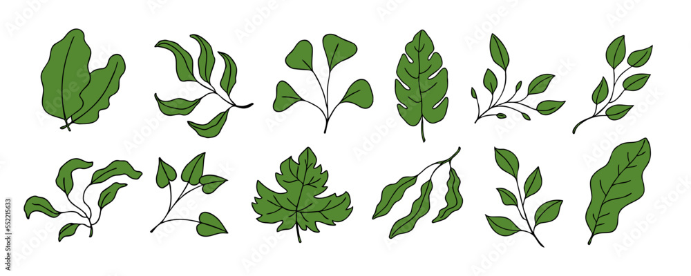 Leaves vector sketch set. Hand drawn decorative elements, isolated on ...