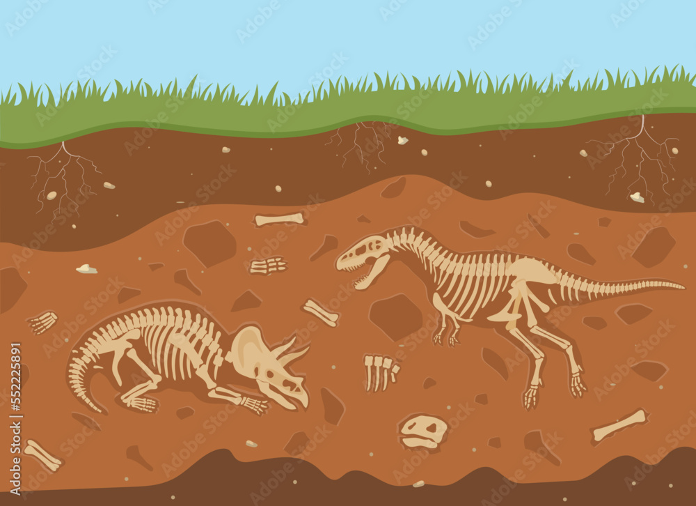 Underground dinosaur bones. Fossils, archeology and paleontology ...