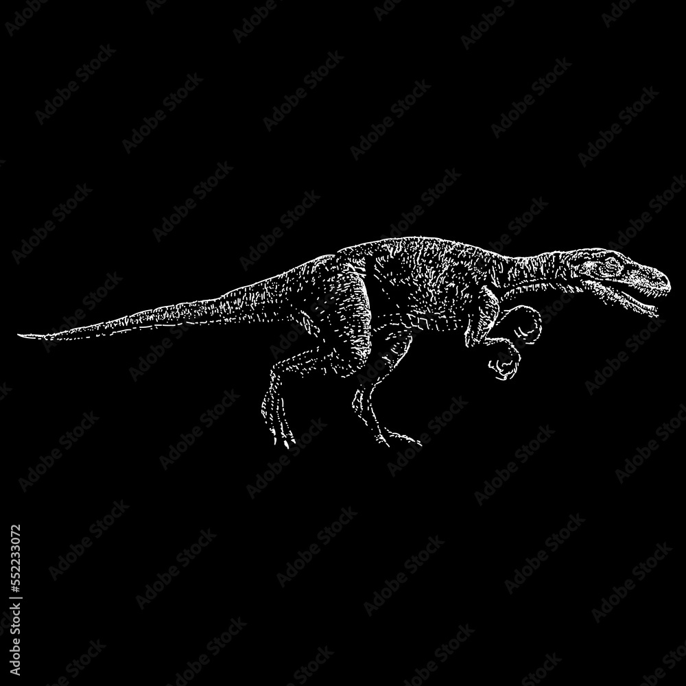 Herrerasaurus hand drawing vector isolated on black background. Stock ...