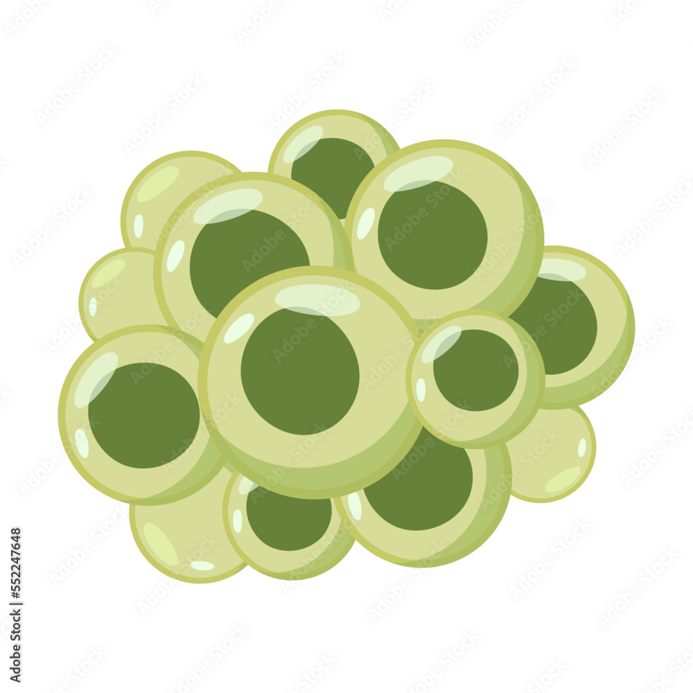 Funny frog eggs cartoon vector illustration. Transformation from eggs ...