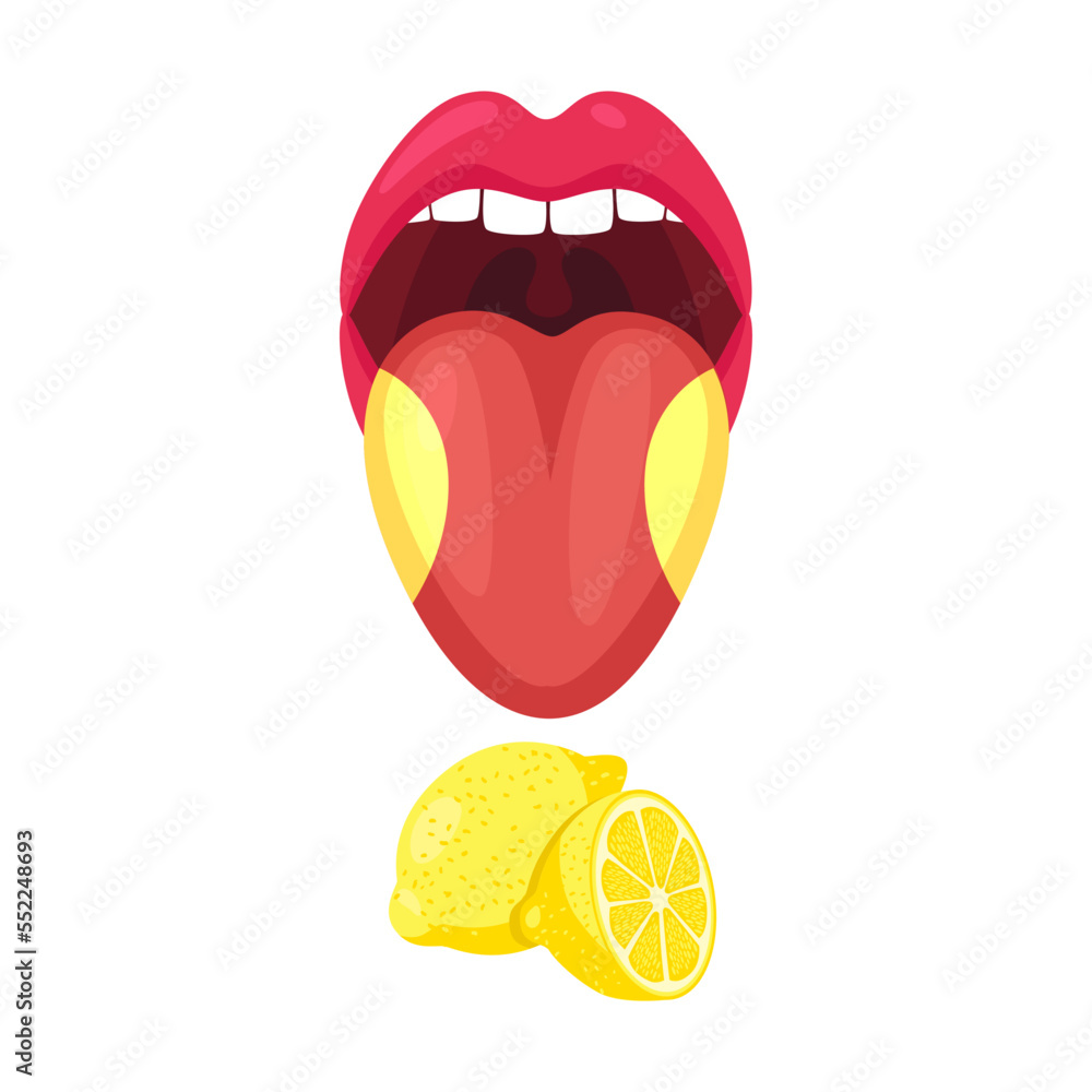 Basic lingual area such as sour cartoon vector illustration. Human ...