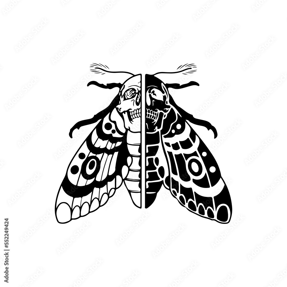 vector illustration of insect moth concept Stock Vector | Adobe Stock