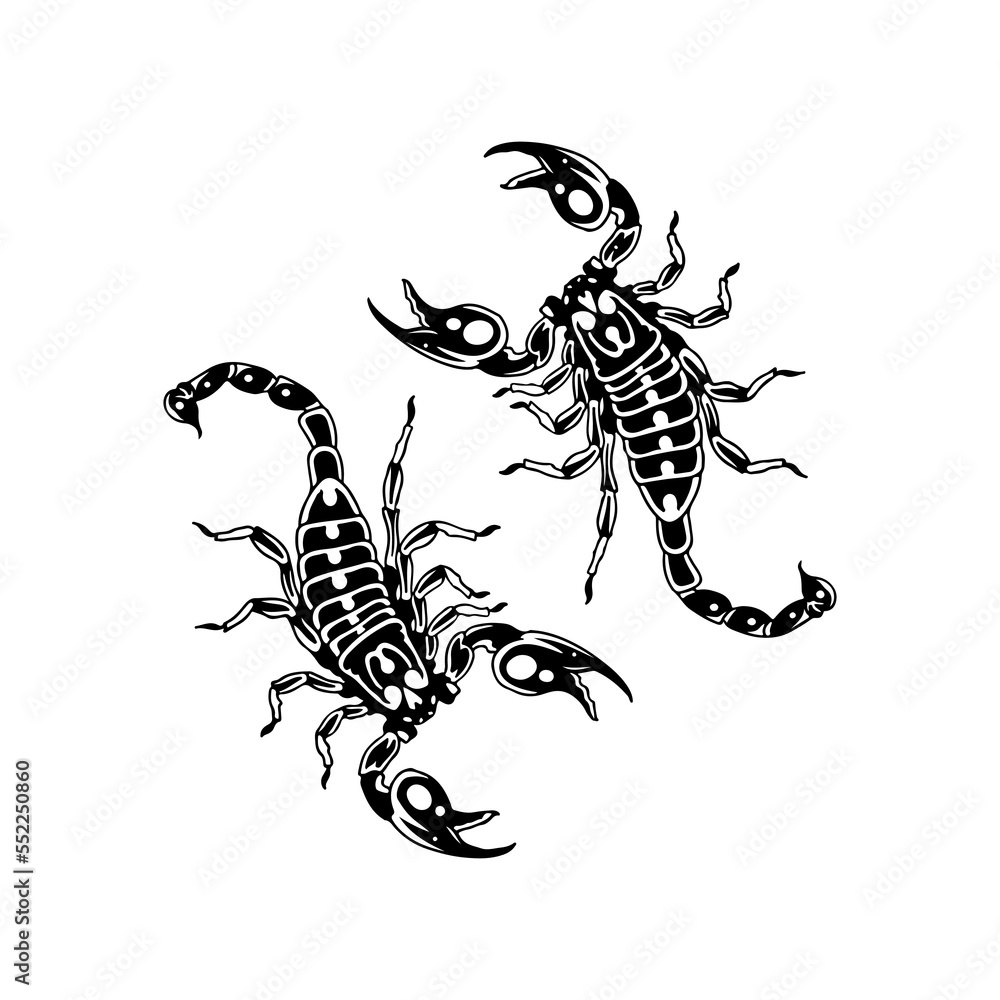 vector illustration of two scorpions Stock Vector | Adobe Stock