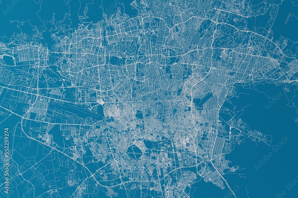 Map of the streets of Tehran (Iran) made with white lines on blue ...