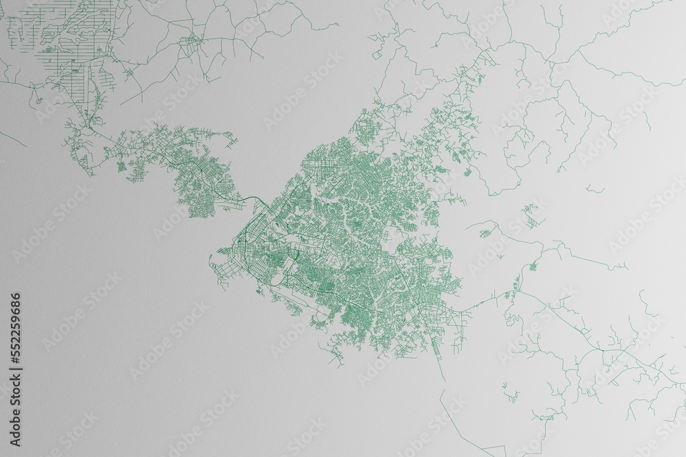 Map of the streets of Douala (Cameroon) made with green lines on white ...