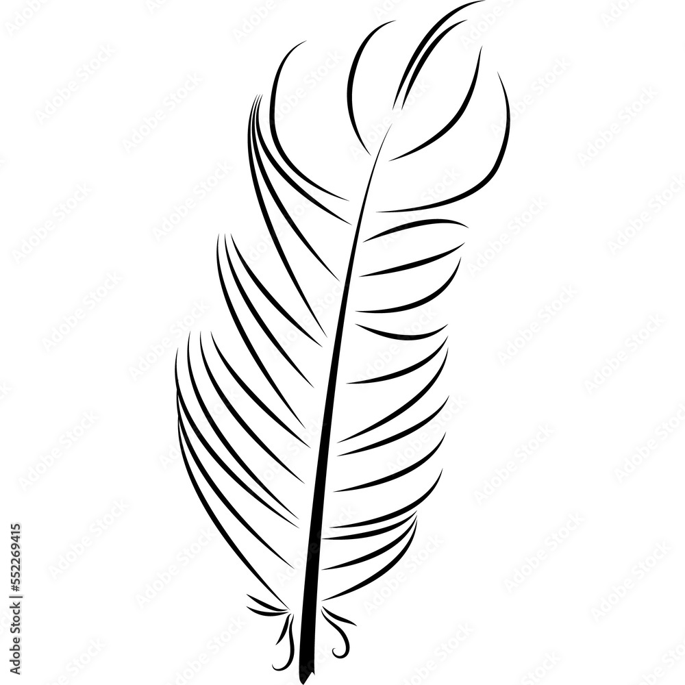 feather illustration, drawing, engraving, ink line art Stock ...