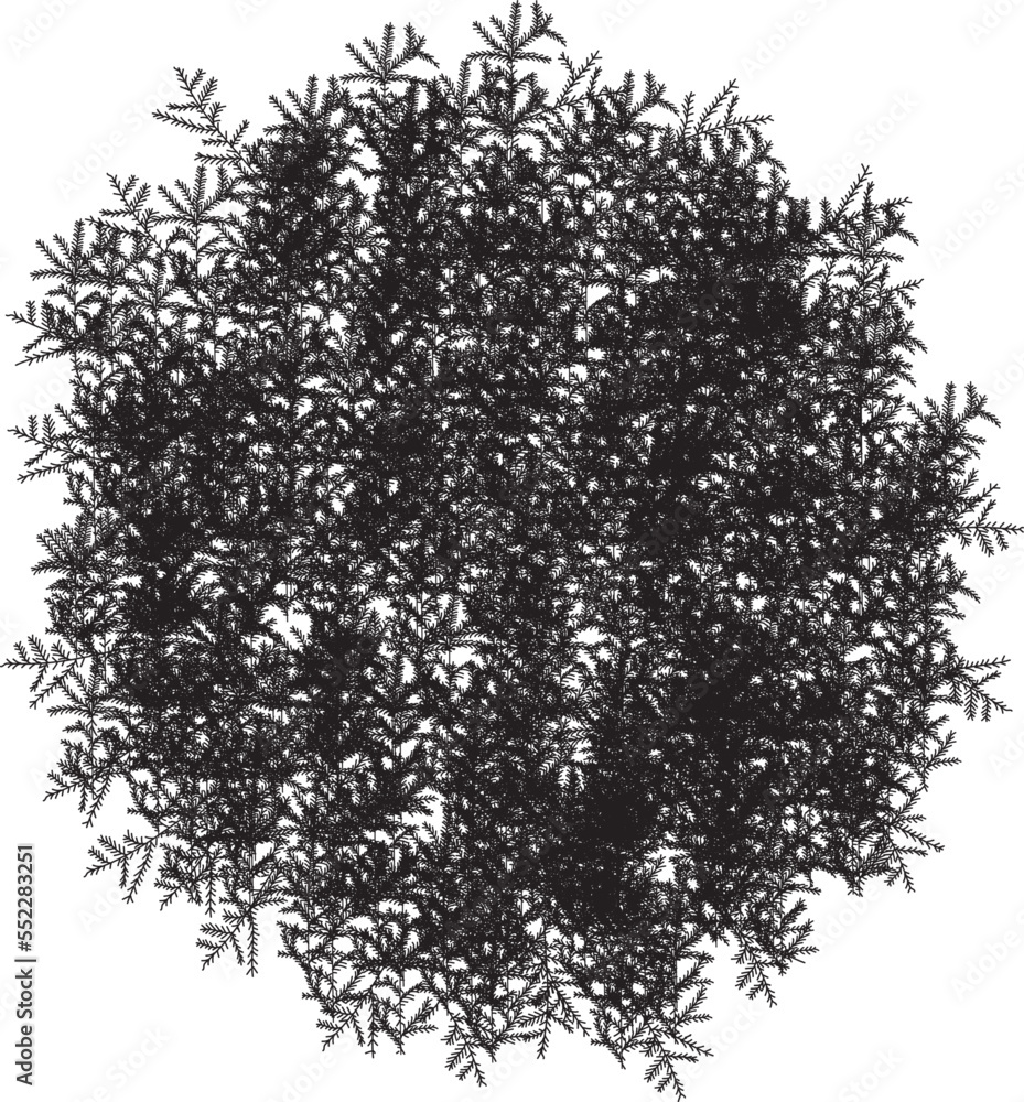 Tree top view vector art on isolated white background. Highly detailed ...