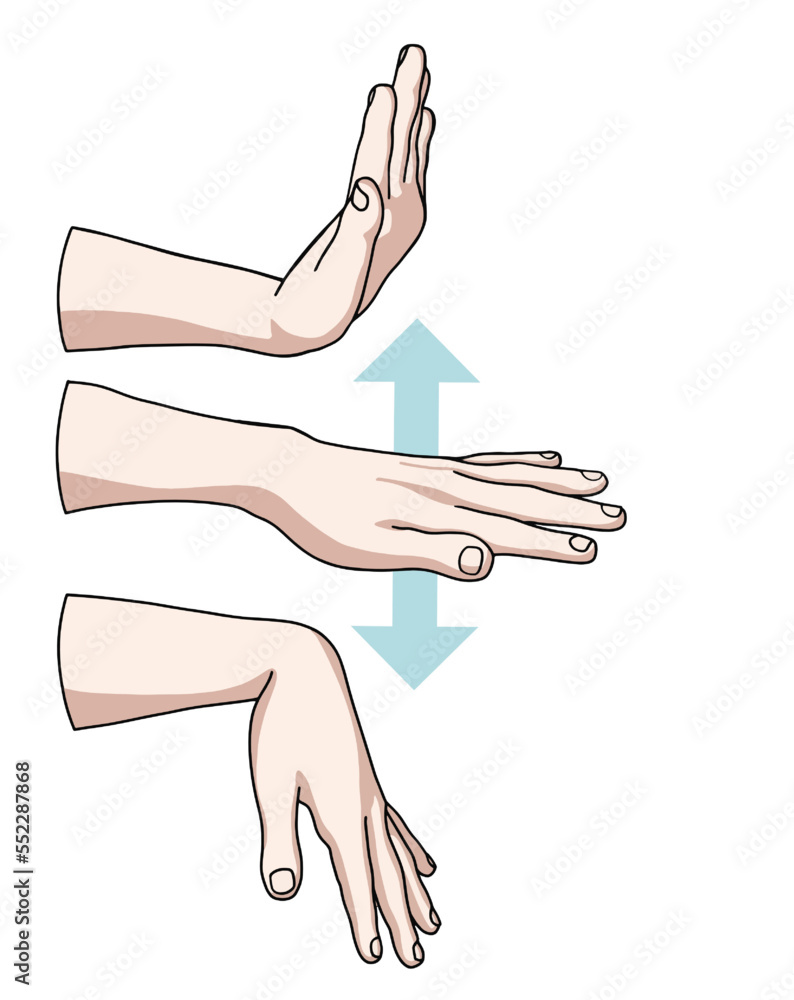 Wrist joint rehabilitation exercises. Vector illustration. Exercise 1 ...