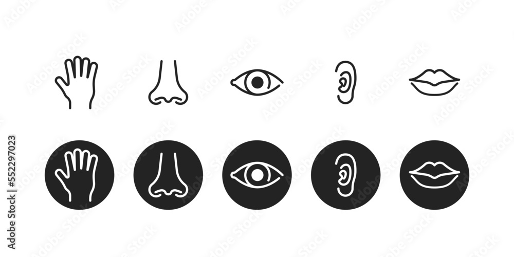 Five human senses icon set. Touch, smell, see, hear, taste vector ...