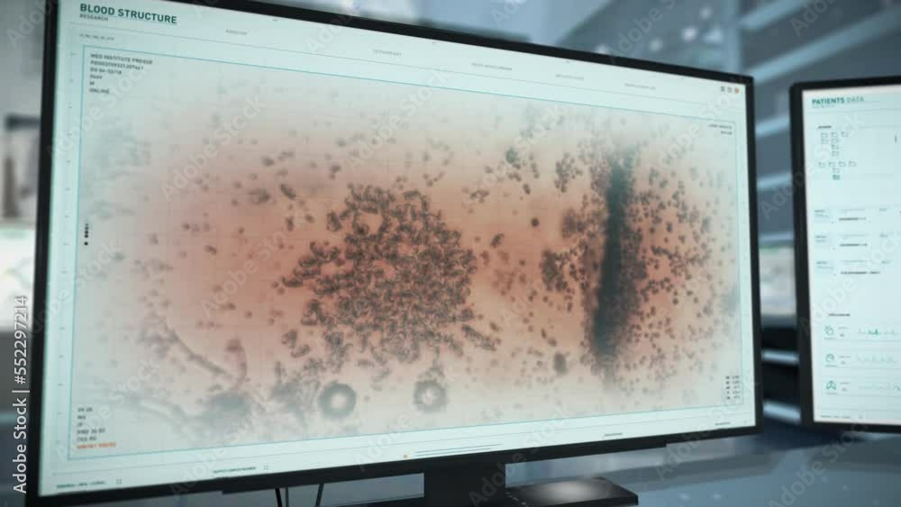 Microbiological Research of the blood cells structure. Microbiology ...