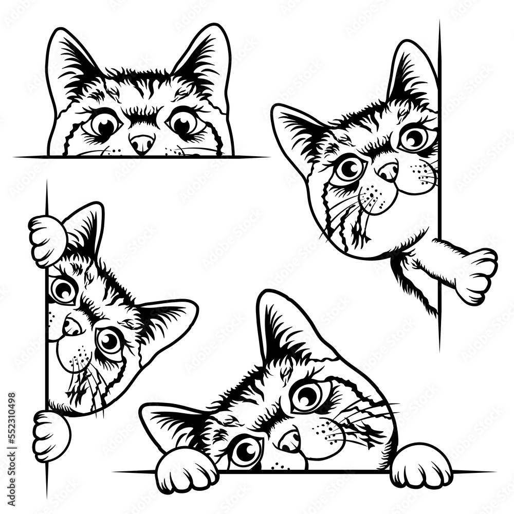 Silhouette peeking cats on white background. Cute peeping kitten ...