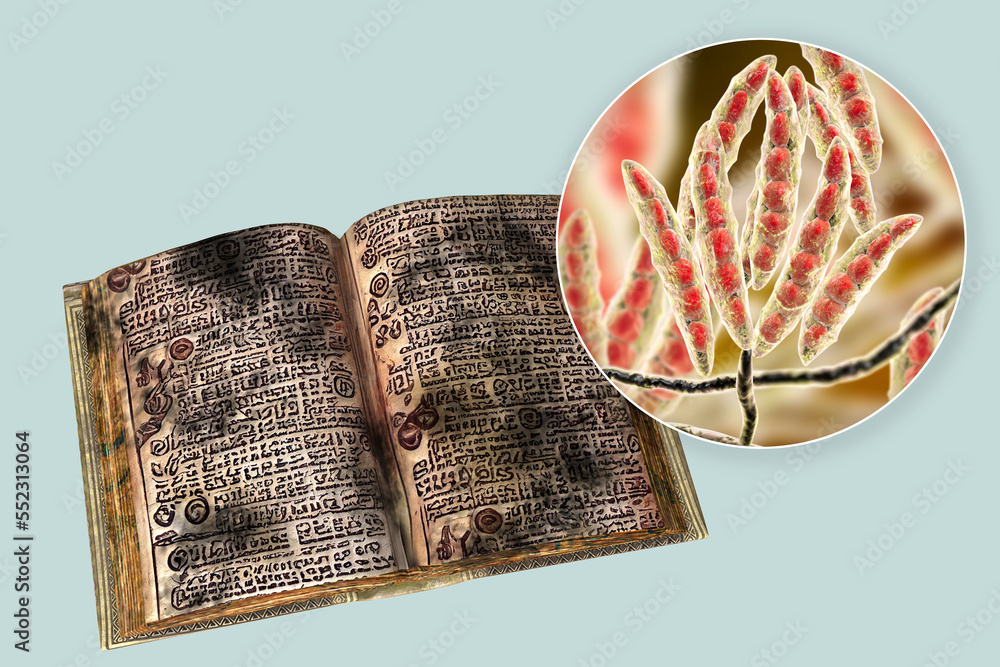 Mold in old books, conceptual 3D illustration. Open antique book with ...