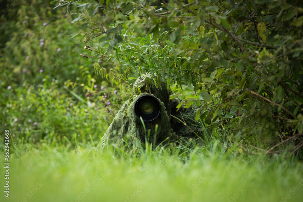 Wildlife photographer with a large lens hiding under a green camouflage ...