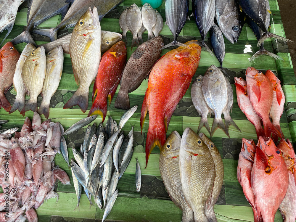 Various types of fresh fish in the traditional market Stock Photo ...