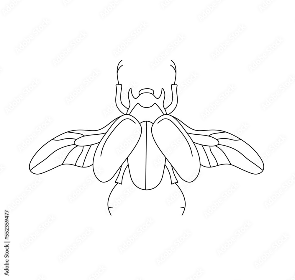 Vector isolated one large big flying beetle with outstretched wings ...