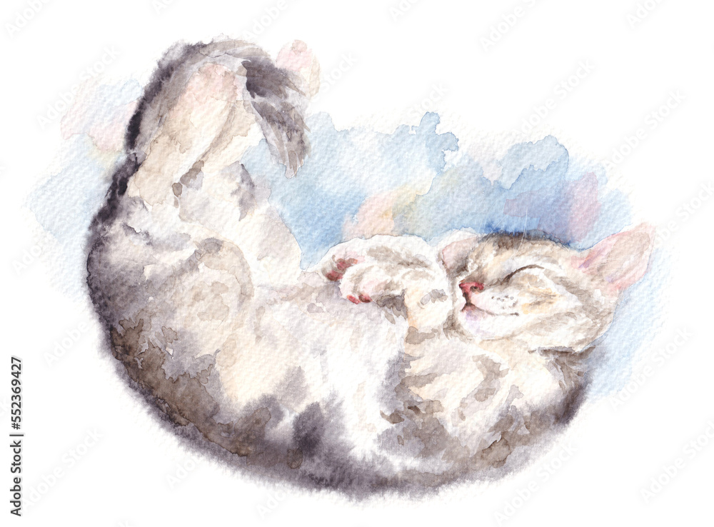 Cute young striped grey cat sleeping rolled up in a ball. Realistic ...