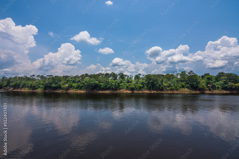Beautiful landscape of the Amazon Rainforest - Amazonas, Brazil Stock ...