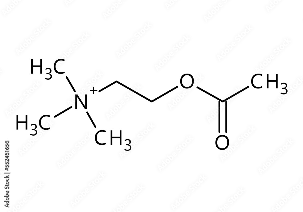 Acetylcholine molecular structure. Acetylcholine is neurotransmitter ...