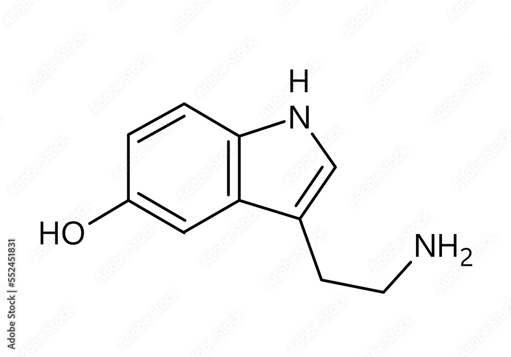 Serotonin molecular structure. Serotonin is monoamine neurotransmitter ...