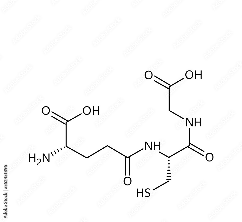 Glutathione molecular structure. Glutathione is an antioxidant in ...