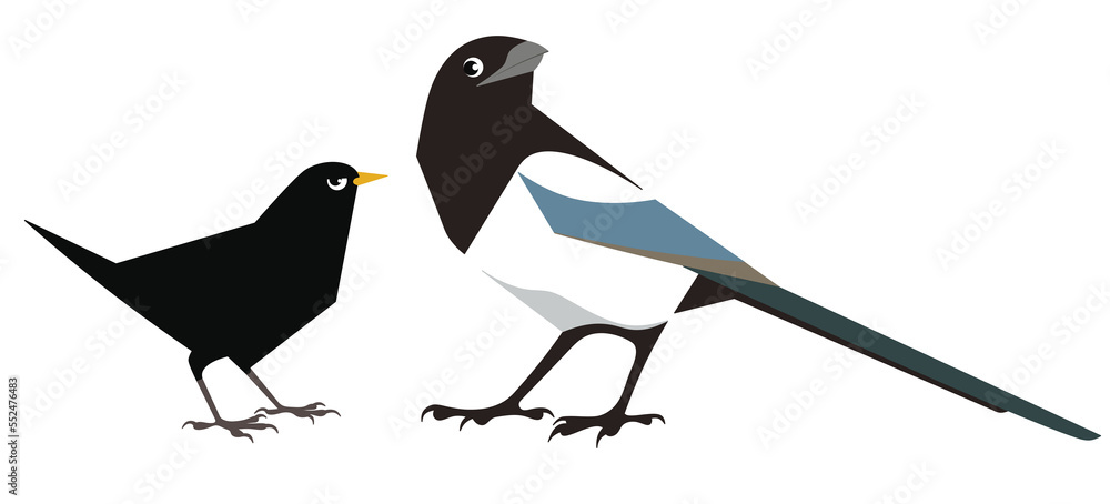 Birds isolated illustration. Two birds. Magpie and starling. Cartoon ...