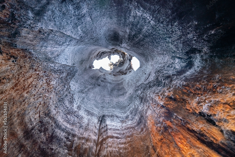 Famous Sequoia park and giant sequoia tree burned. Inside the trunk of ...
