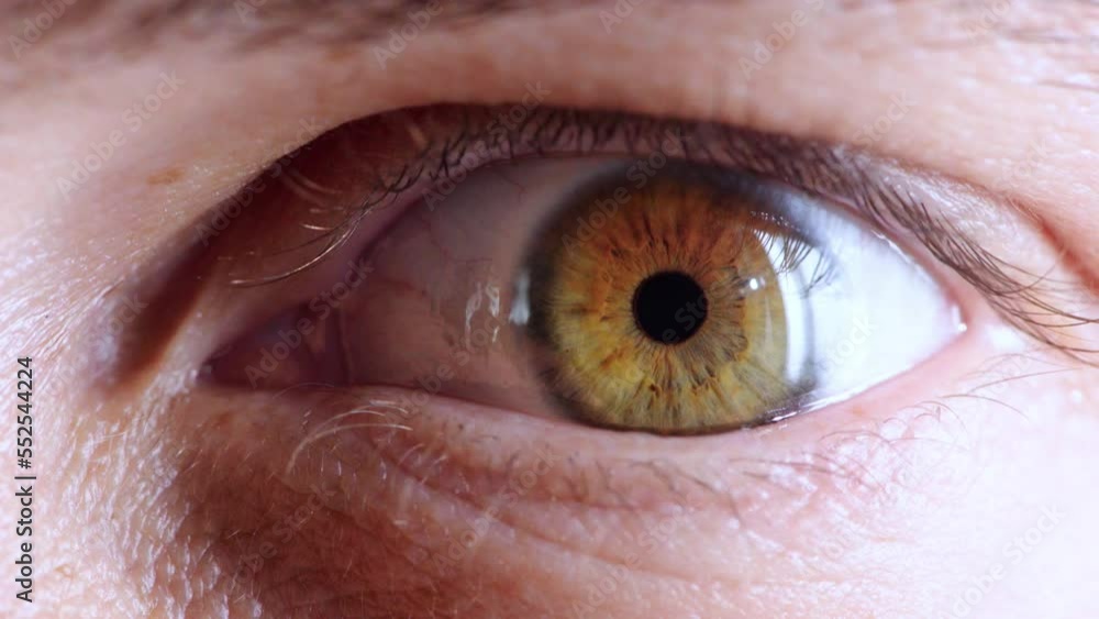 Video Stock Sock, surprise and wow eye with zoom with vision, eyesight ...