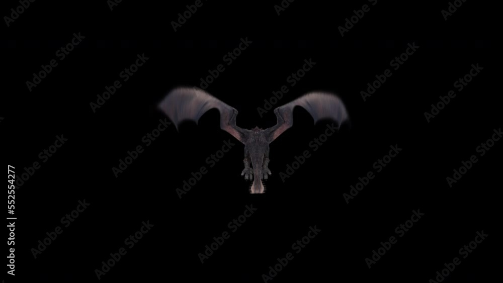 Video „Realistic Dragon flying isolated on a black background.effect ...