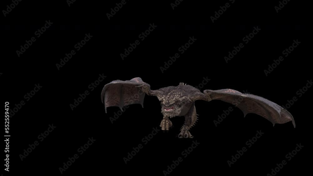 Realistic Dragon walk Animation isolated on a black background.effect ...