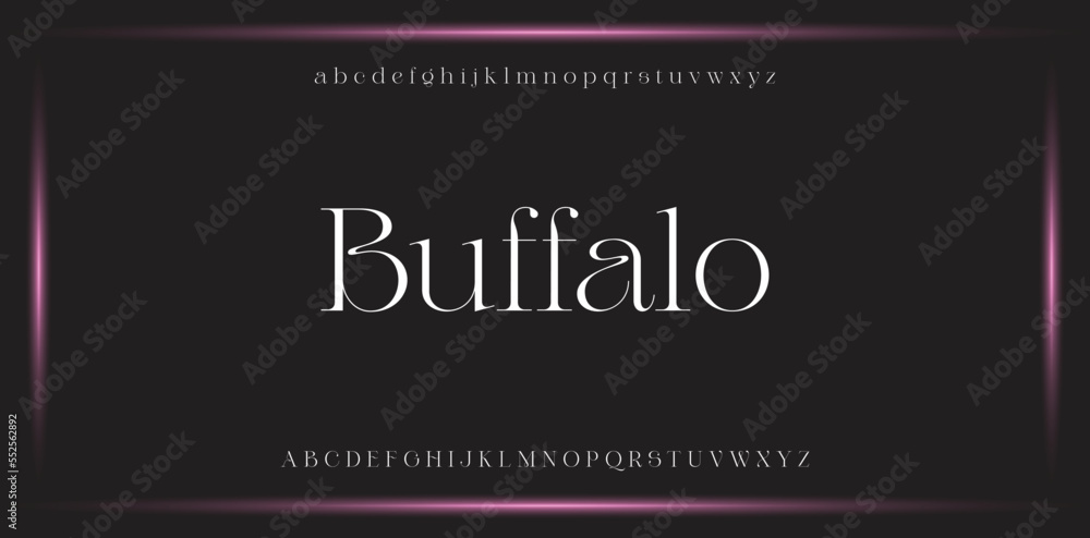 BUFFALO Minimal luxury Font and Alphabets. Unique tech typeface for ...