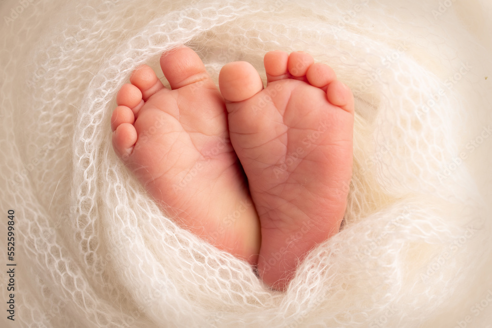 Soft feet of a newborn in a white woolen blanket. Close-up of toes ...
