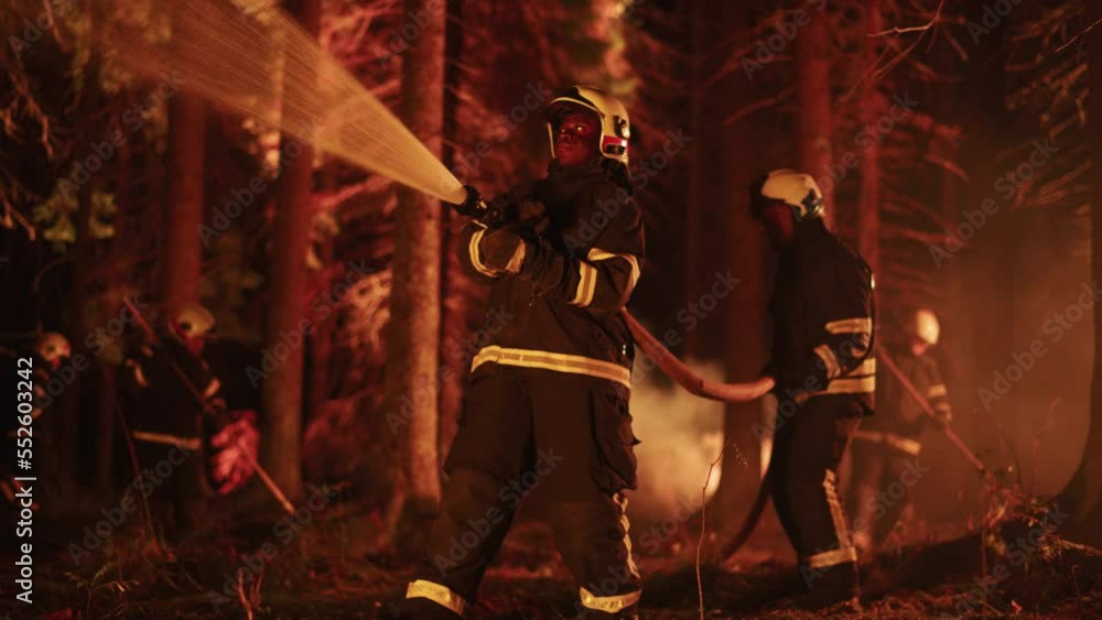 Experienced African American Firefighter Extinguishing a Wildland Fire ...