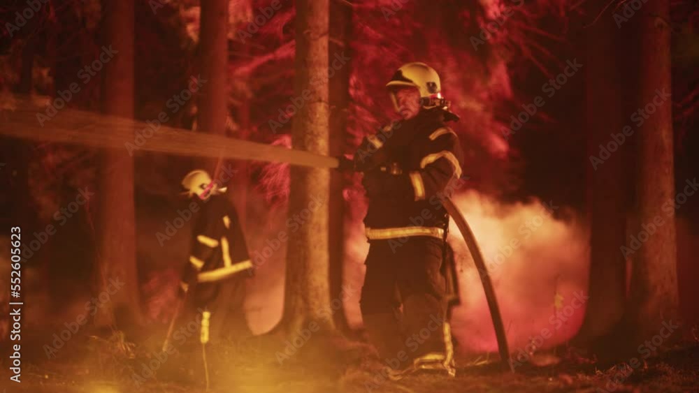 Experienced Firefighter Extinguishing a Wildland Fire Deep in a Forest ...