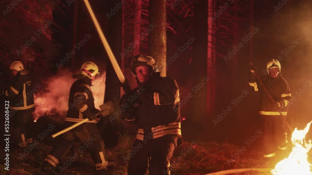 Group of Experienced Firefighters Extinguishing a Wildland Brushfire ...