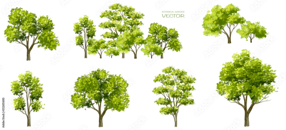 Abstract vector watercolor ,tree or forest side view isolated on white ...