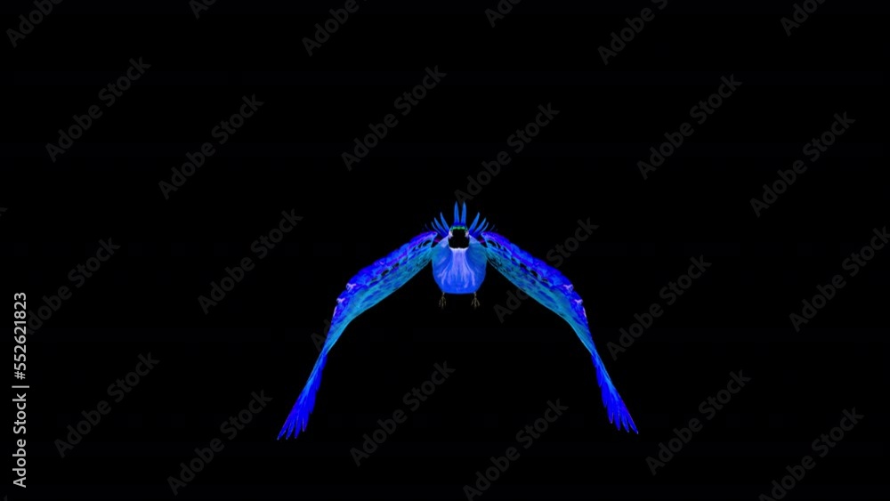 Blue Phoenix Bird - Flying Loop - Front View - Isolated 3D Animation ...