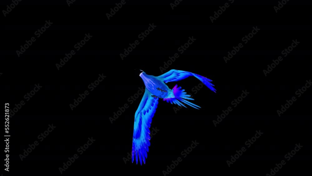 Blue Phoenix Bird - Flying Loop - Down Angle View - Alpha Channel ...