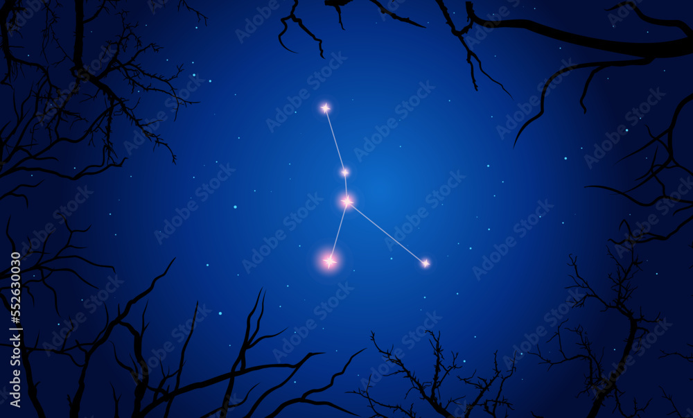 Vector illustration Cancer constellation. Tree branches, dark blue ...