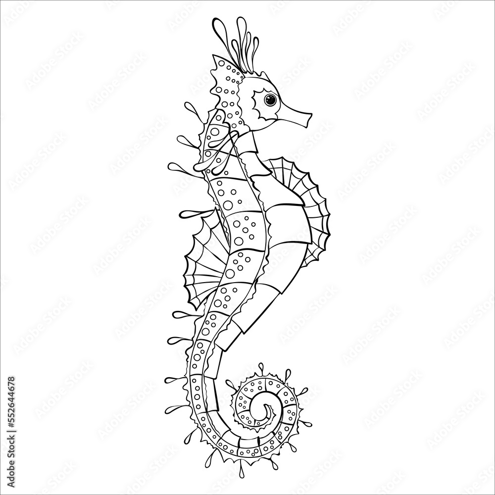 Seahorse coloring page outline. Stylized hand drawn line art with ...
