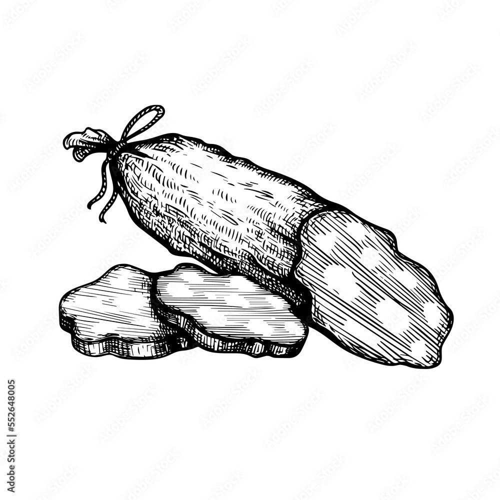 Salami dry sliced sausage in vintage style. Hand drawn sketch style ...