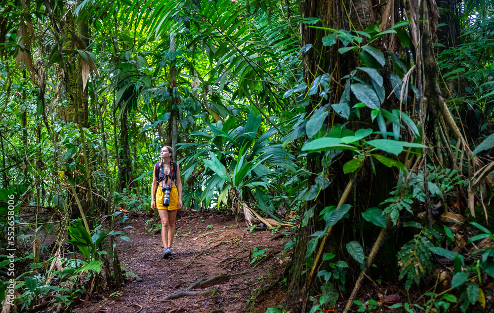 girl photographer walks through dense Costa Rican tropical rainforest ...