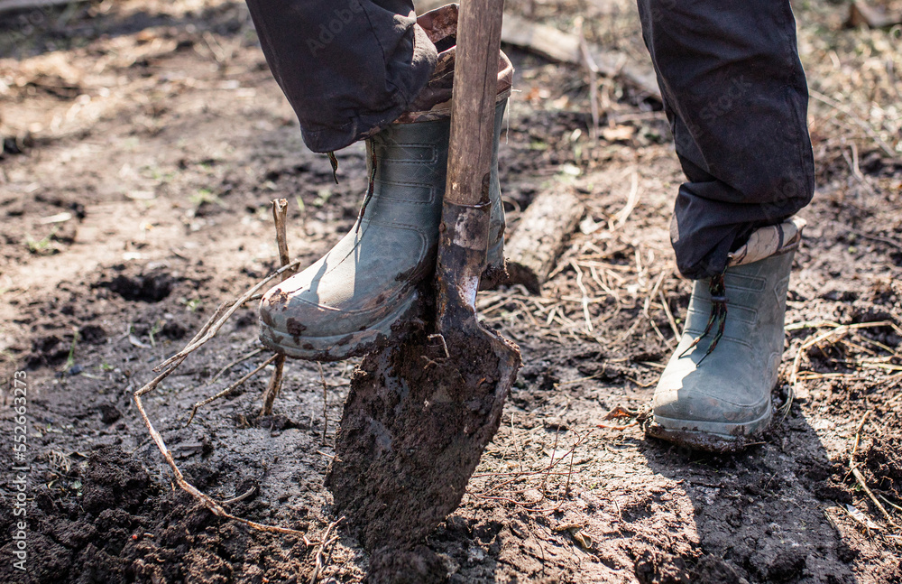 Worker digs soil with shovel The foot of a hard-working farmer in dirty ...
