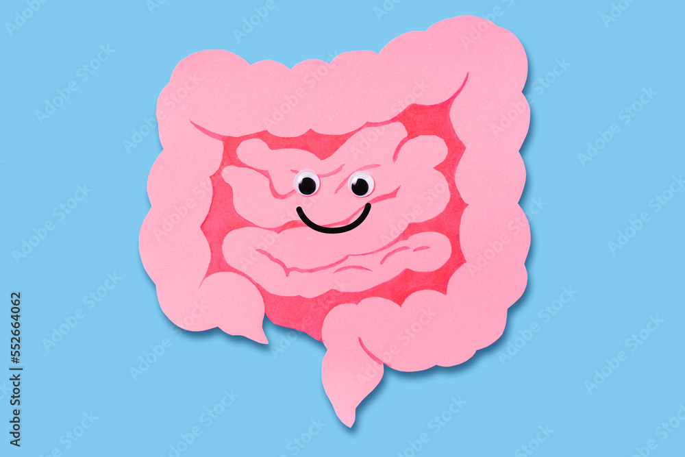 Healthy gut. Cute cartoon intestine with eyes and smile. Healthy ...