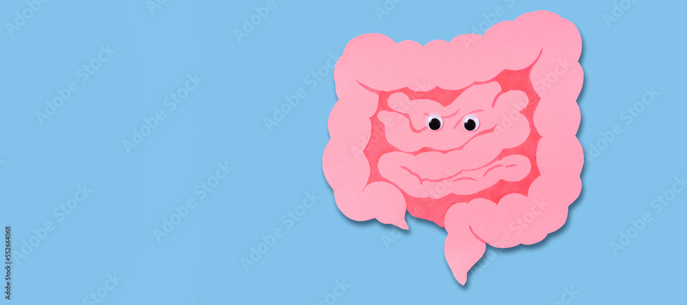 Healthy gut. Cute cartoon intestine with eyes. Healthy intestinal ...